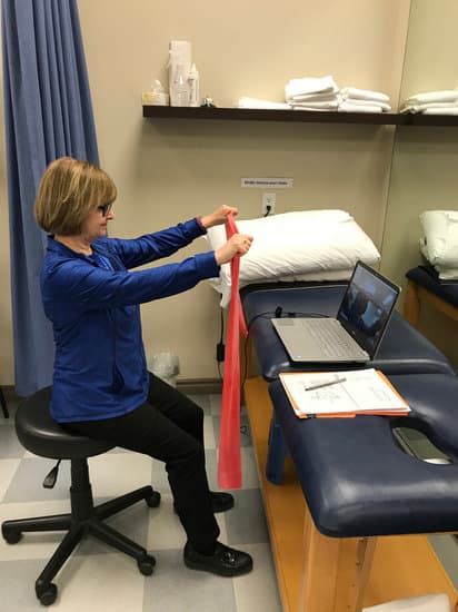 Virtual Physiotherapy Sessions – Pro Motion Physiotherapy